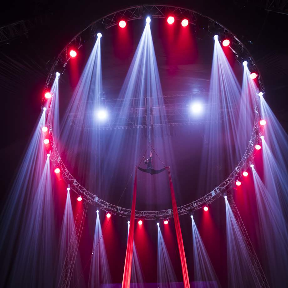 ZED Park Egypt Cirque Du Liban | News